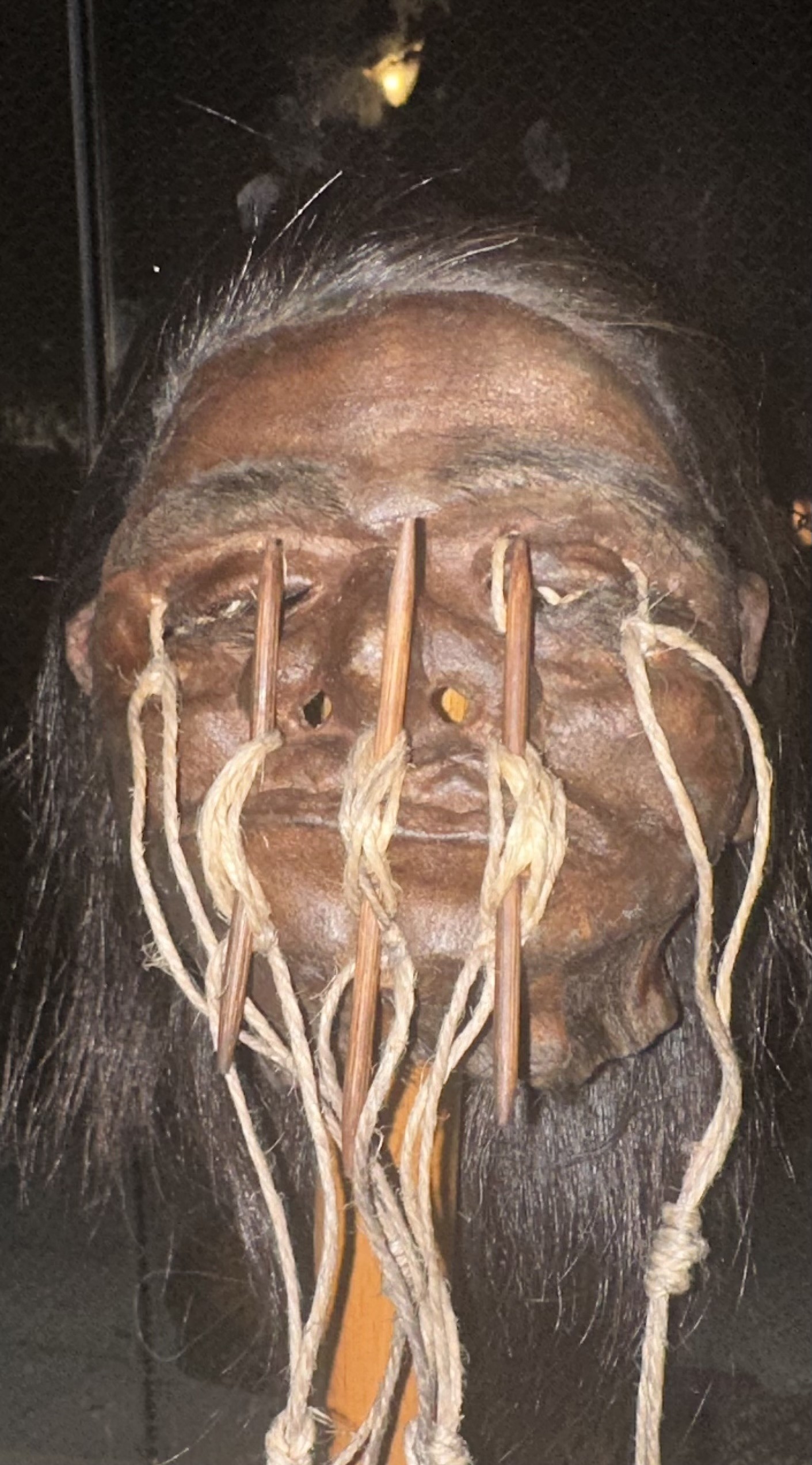 Shrunken Heads: Dark Haired Shrunken Head with Chonta Spines through Mouth*